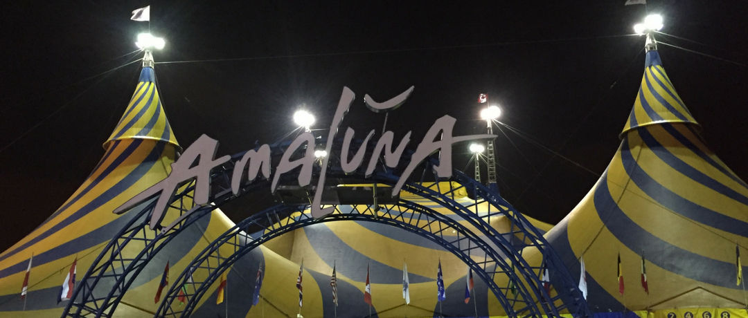 Capa Amaluna - Os Voos da Xoana